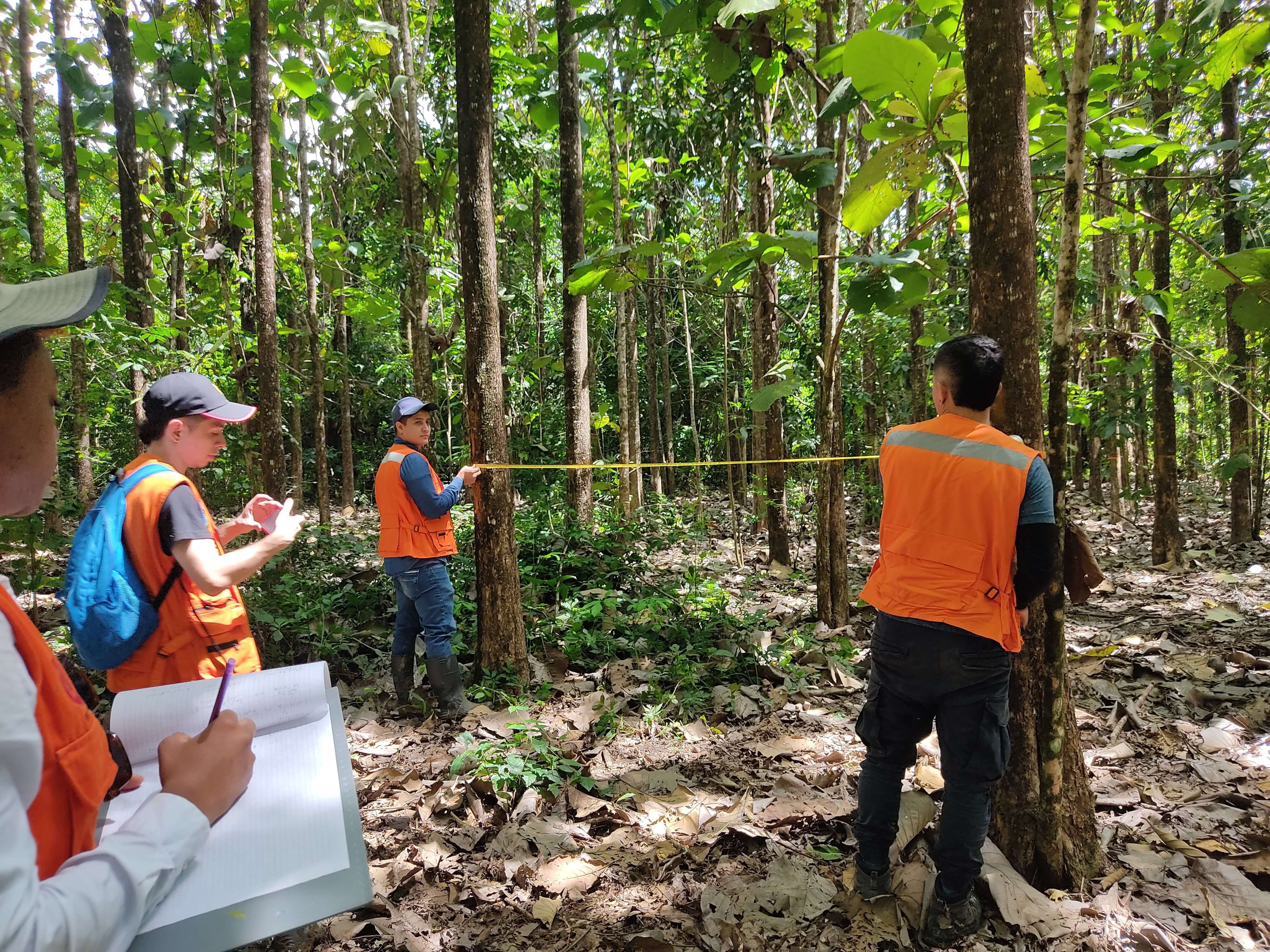 Congreso Forestal Nacional Colombiano